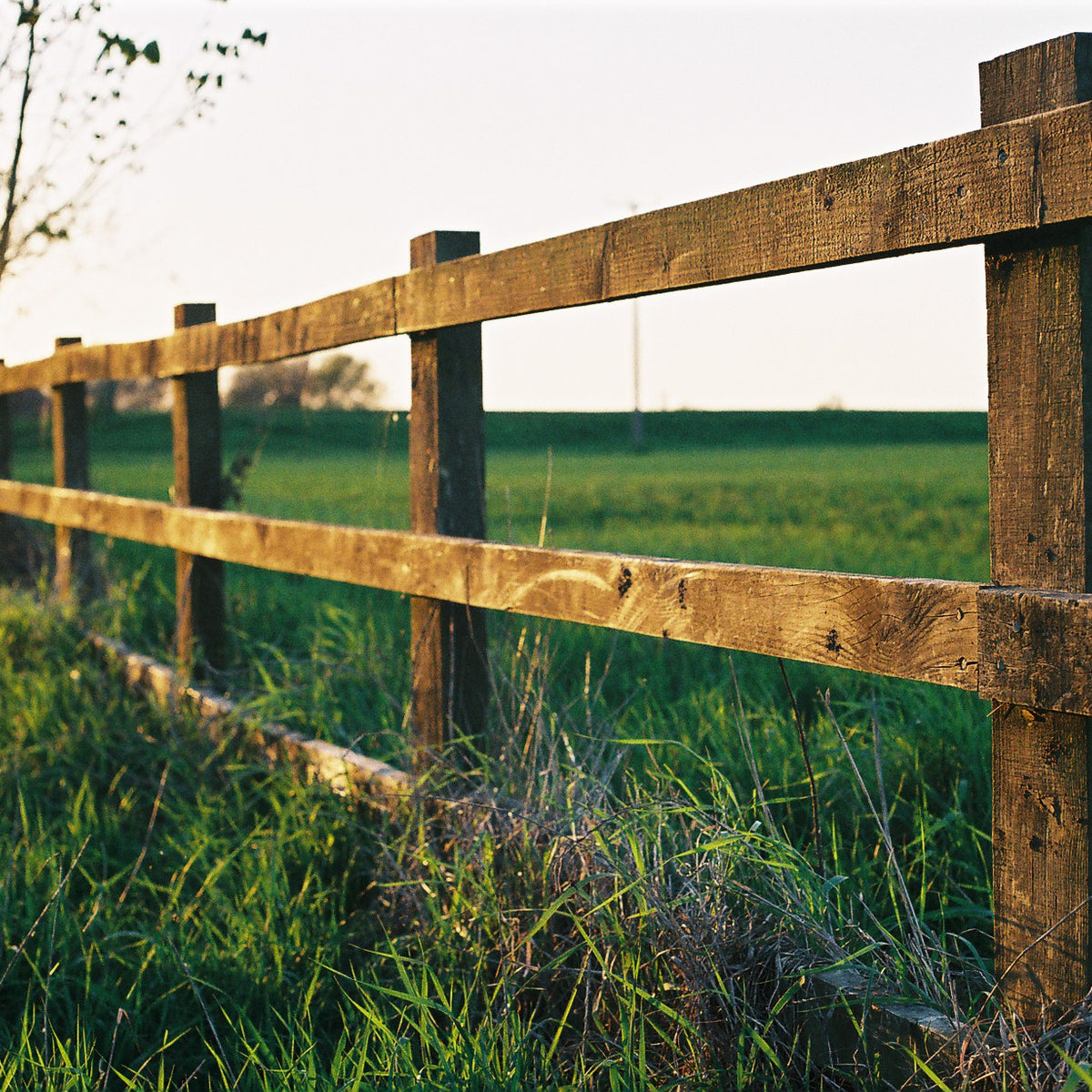 Fencing, Timber & Roofing – Lester Lowe Ltd