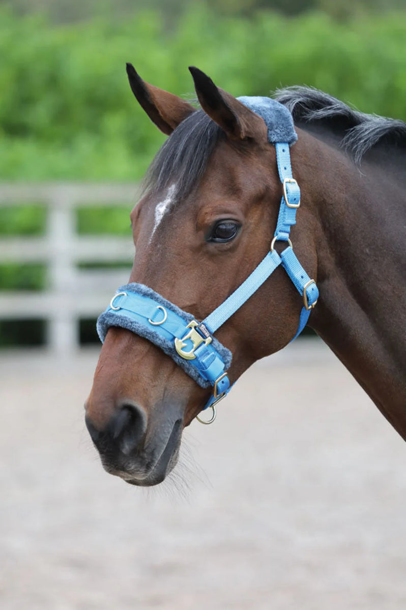 Lunge Lines and Accessories – Lester Lowe Ltd