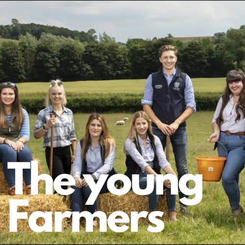 Lester Lowe Ltd Building, Agri, Country and equestrian – Lester Lowe Ltd